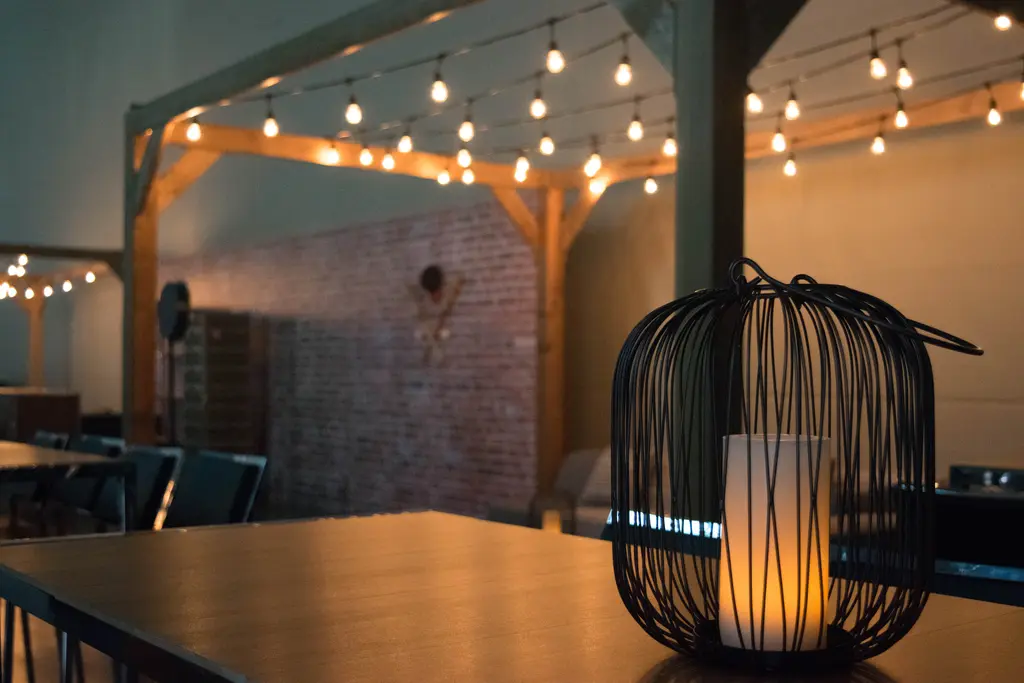 Edison string light - 48' L - Warm white | DX