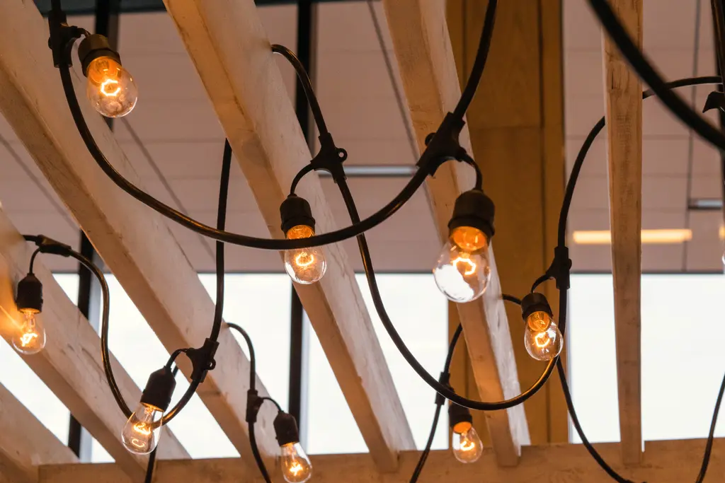 Edison string light - 48' L - Warm white | DX