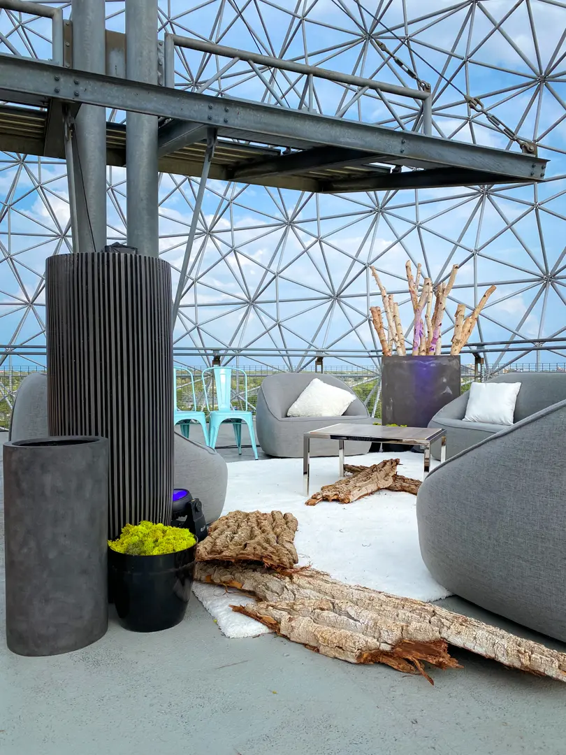 Pot Sapin - 12'' x 24'' - Noir | DX