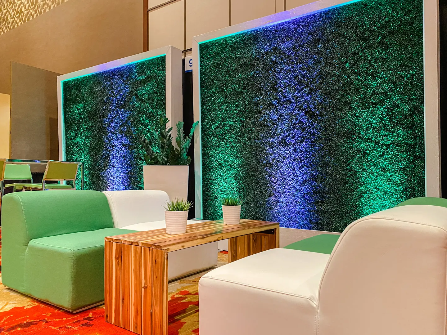 Mur 8' L x 8' H - Cadre bois blanc - Buis | DX