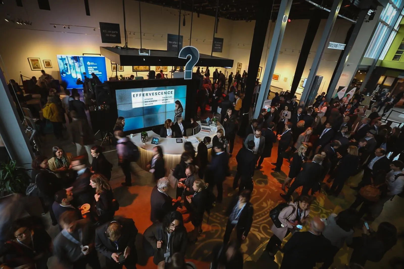 Set of Scandinave bar 16' 1/2 round - Assembly wooden batten | DX