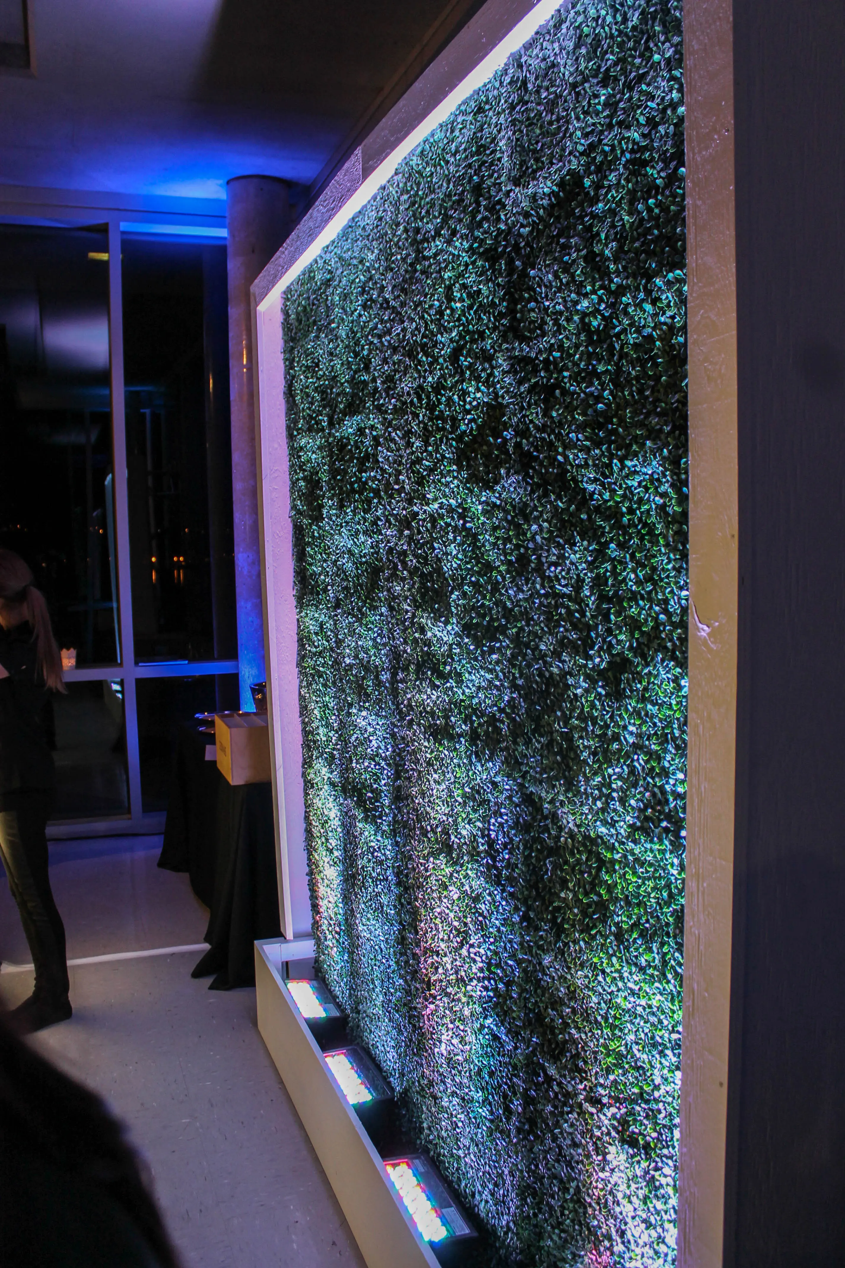 Mur - 8' L x 8' H - Cadre bois blanc - Buis | DX